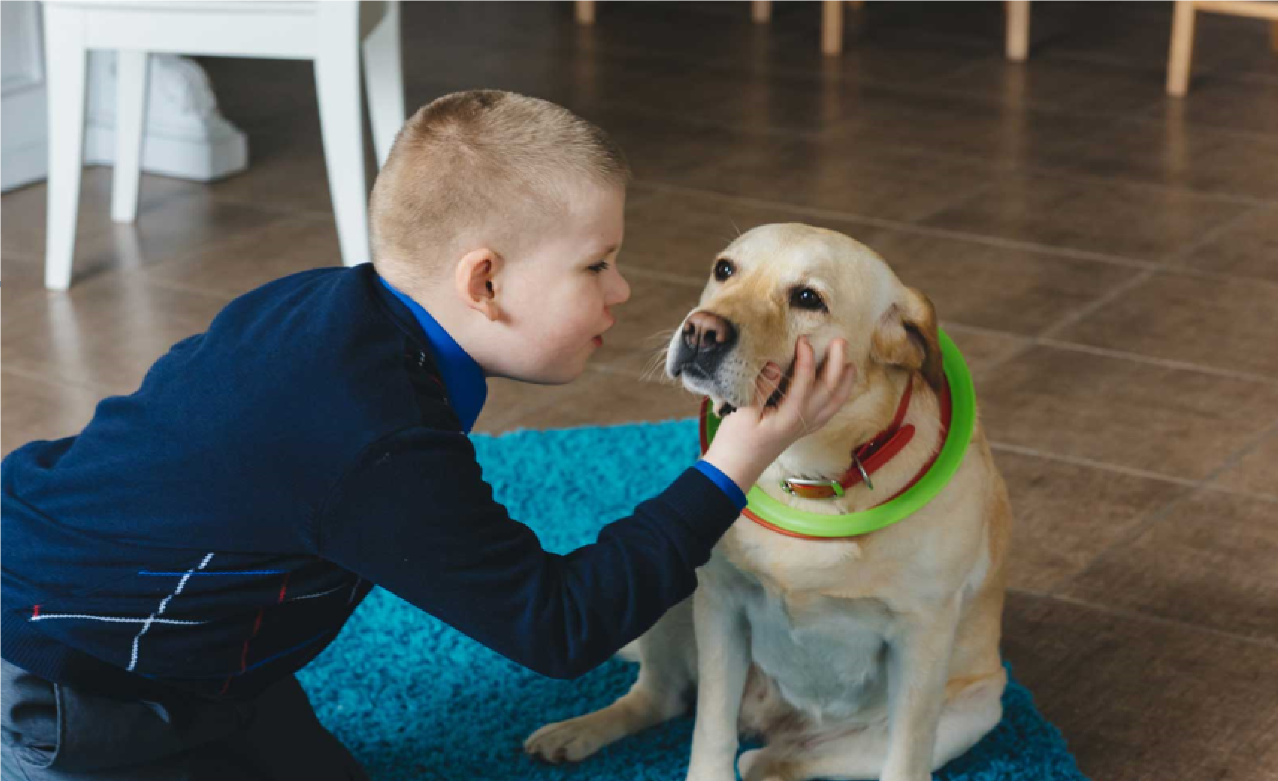 Conociendo el “autismo”, trastorno del espectro autista - Blog